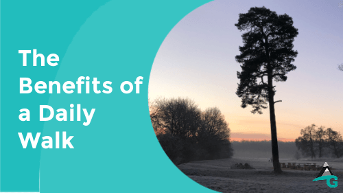 What are the benefits of a daily walk? - Adventure Geek