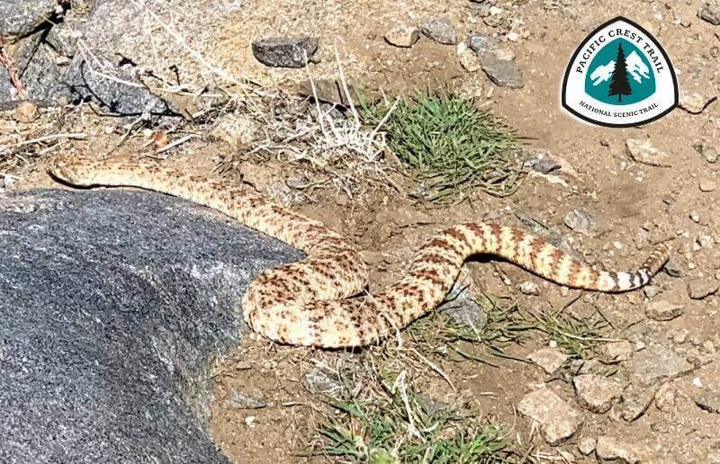 PCT 100 DAYS TO GO! - Adventure Geek